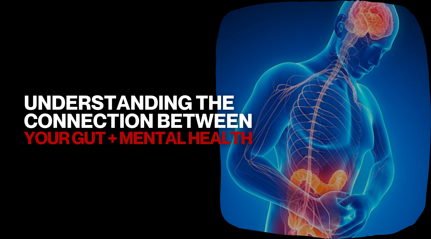 Understanding the Connection Between Your Gut and Mental Health – Bair ...